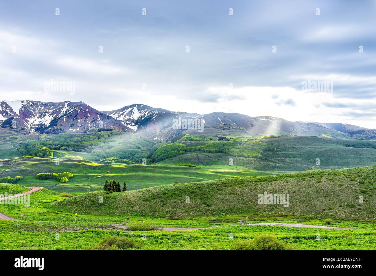 Mount Crested Butte, Colorado alpine meadows view from Snodgrass hiking ...