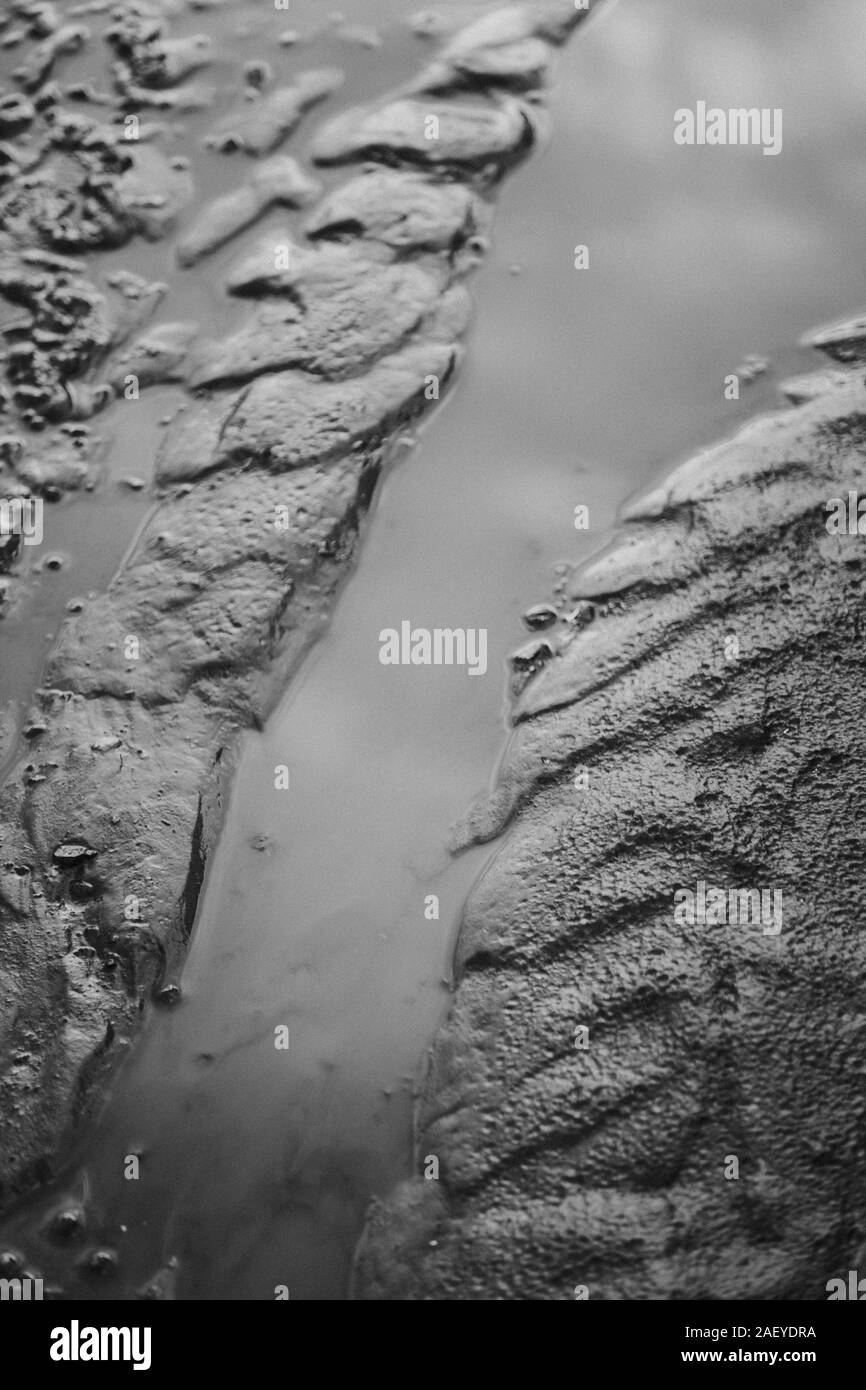 Abstract minimal pattern nature Black and White Stock Photos & Images ...