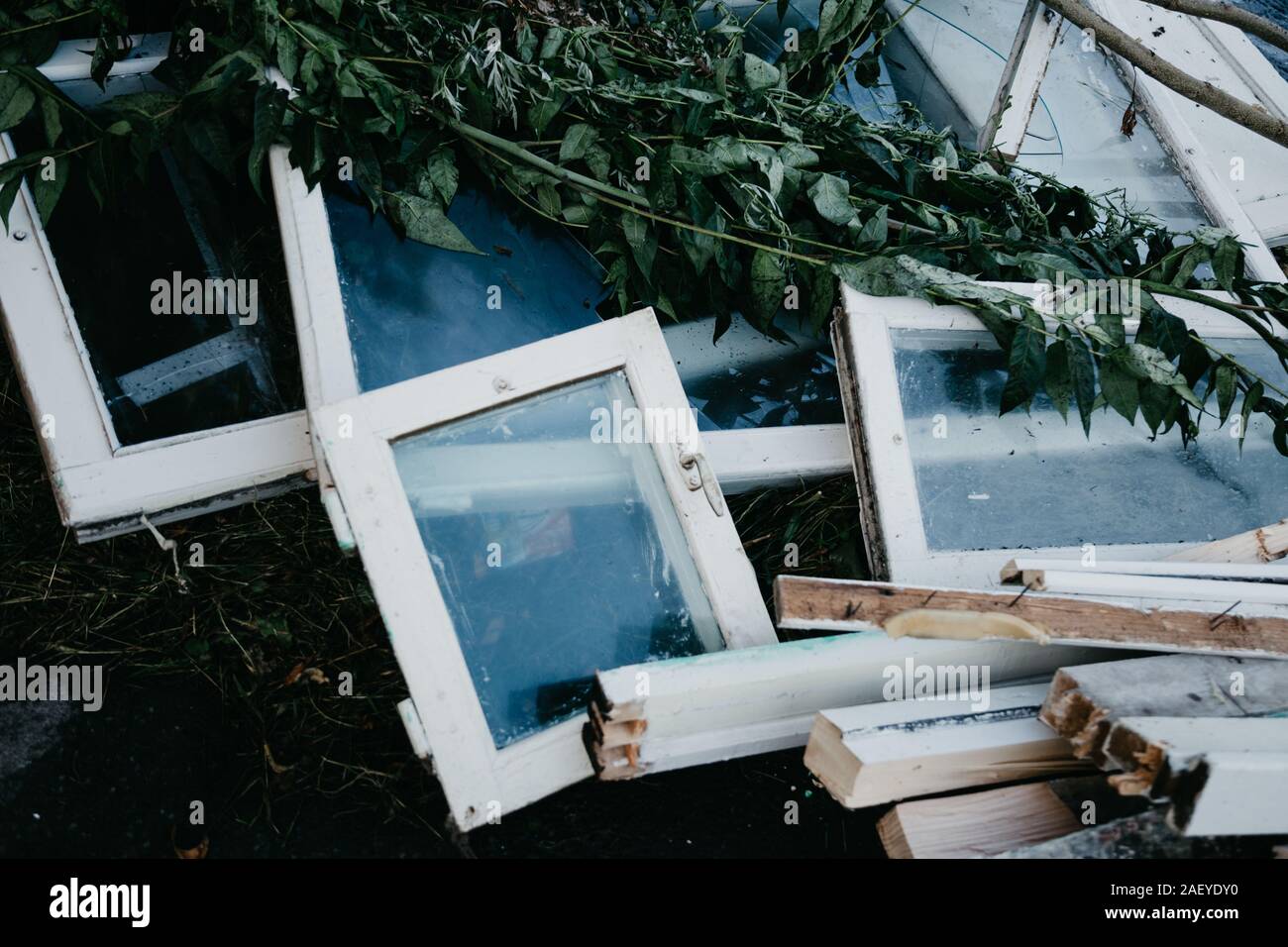 Broken windows with plants and boards Stock Photo - Alamy