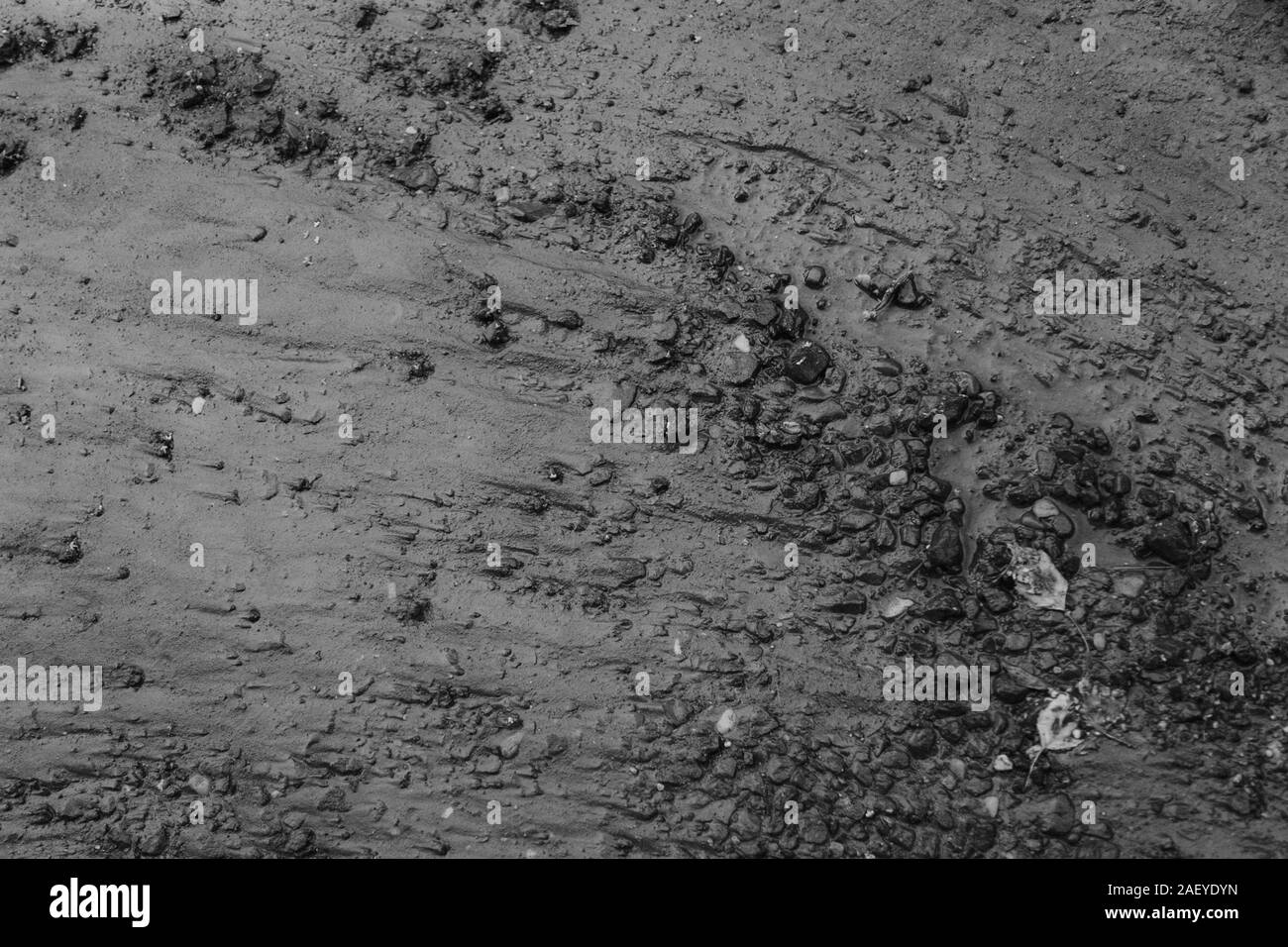 Wet ground after rain with small rocks Stock Photo - Alamy