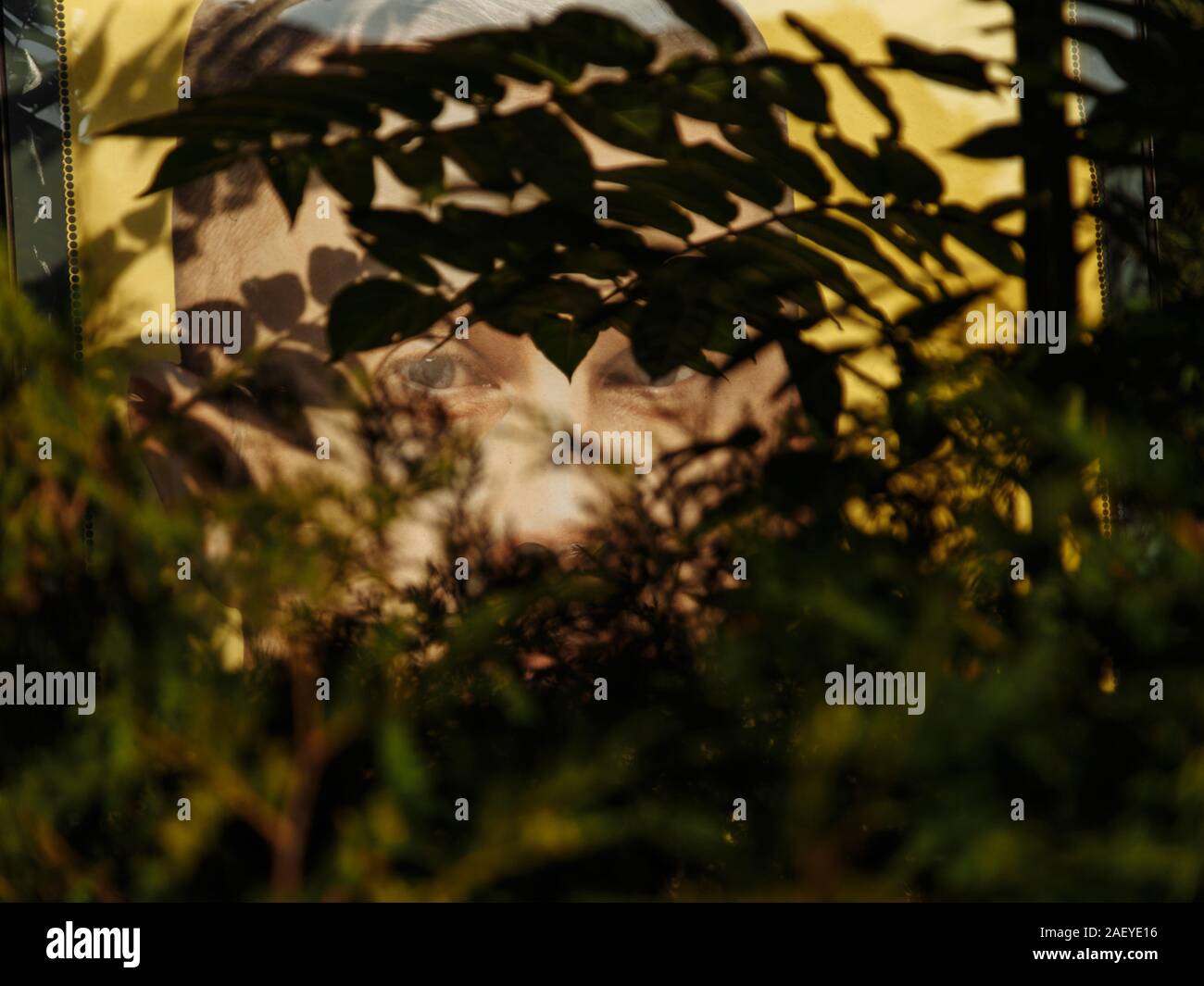 Human eye hi-res stock photography and images - Alamy