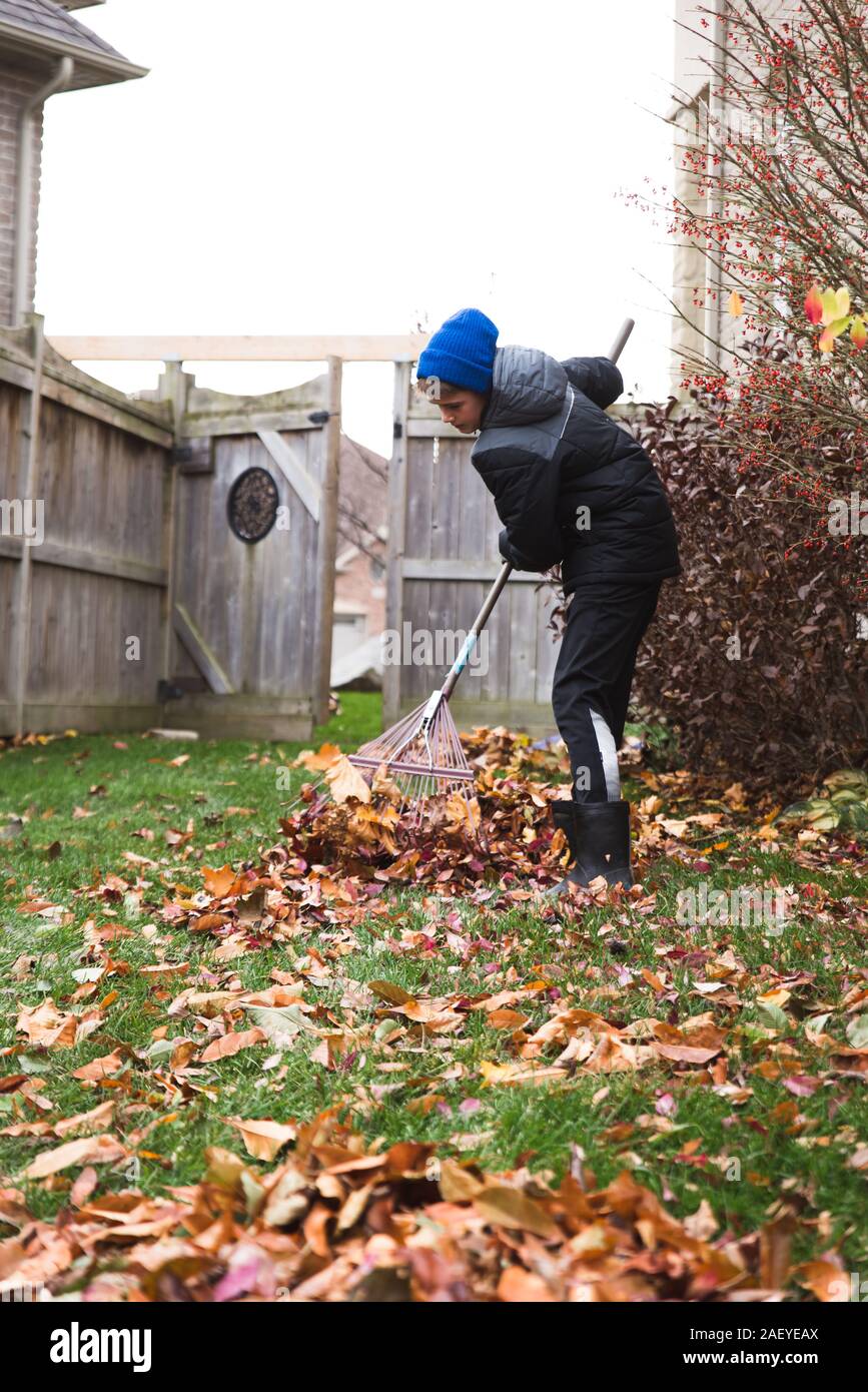 Kids Raking Leaves