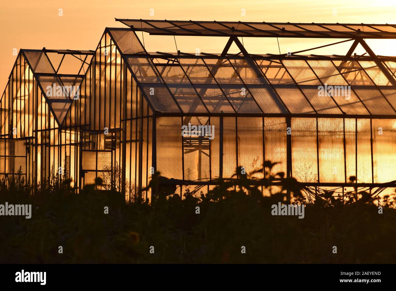 opened Skylights at a Greenhouse Stock Photo - Alamy