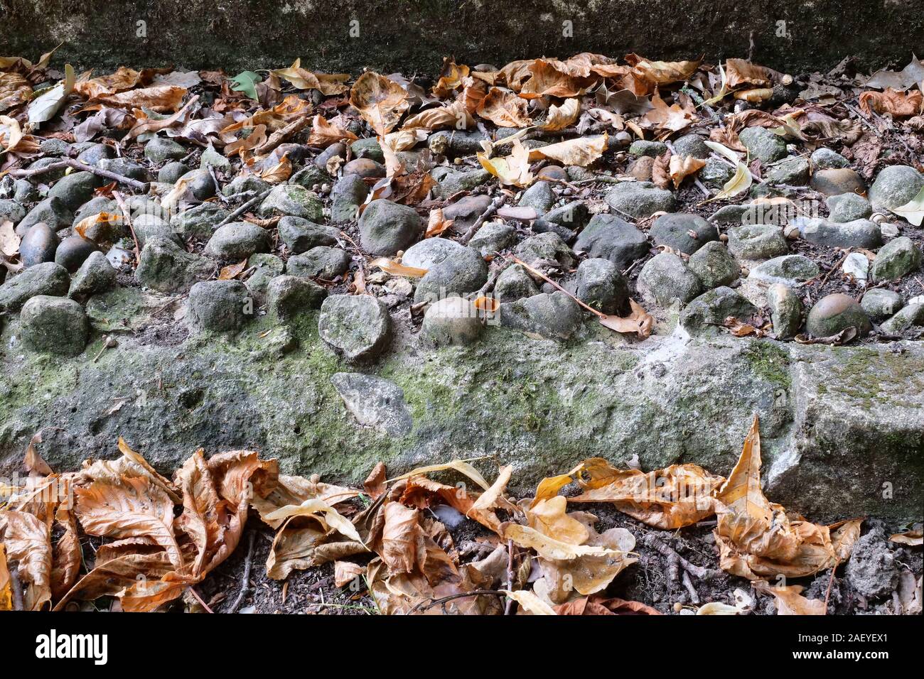 Autumn leaves and stones Stock Photo - Alamy
