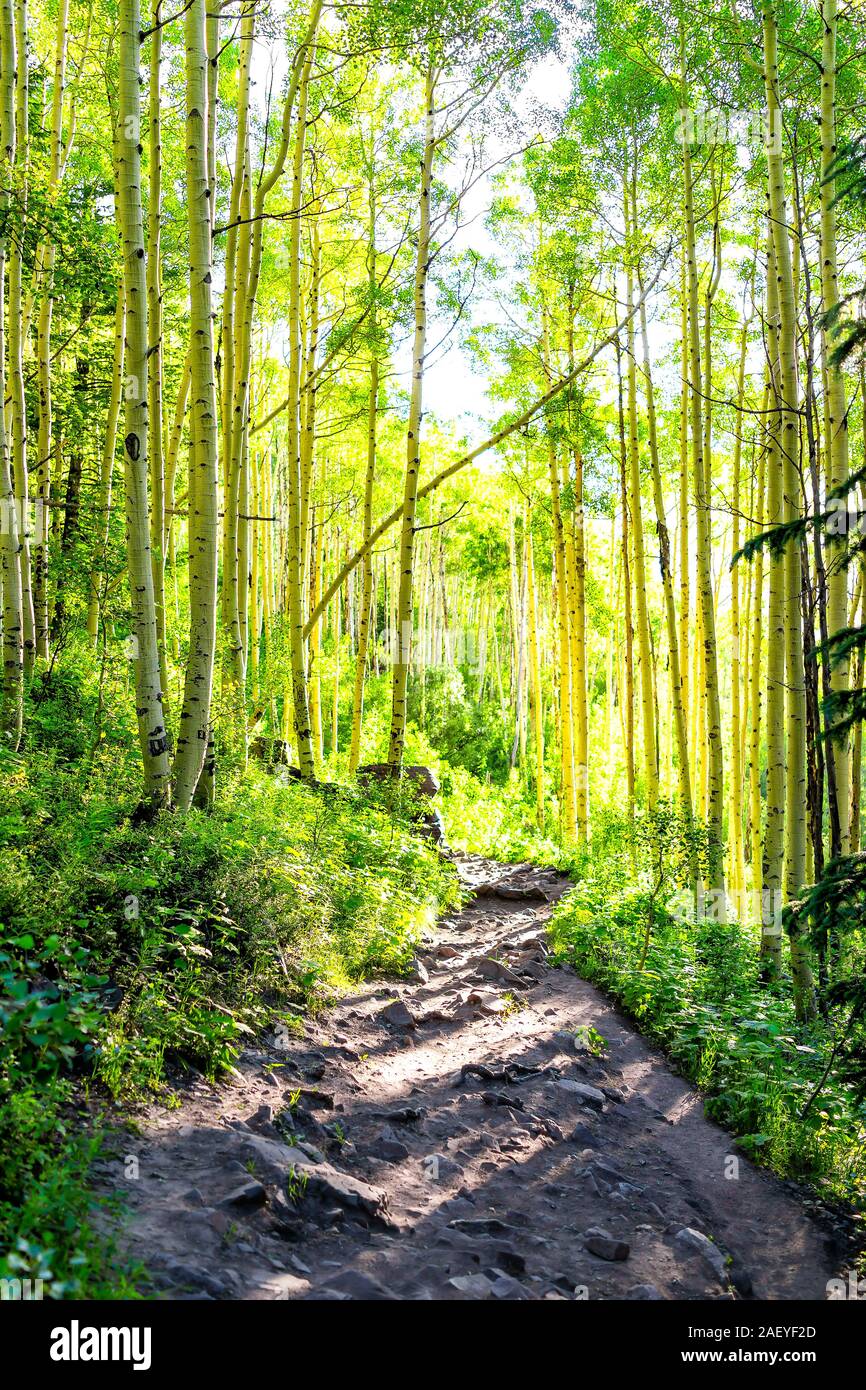 Shadow of elk hi-res stock photography and images - Alamy