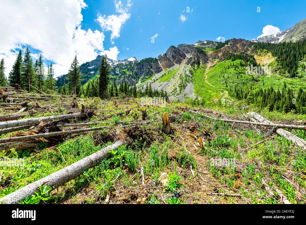 Avalanche debris on Conundrum Creek Trail in Aspen, Colorado in 2019 ...