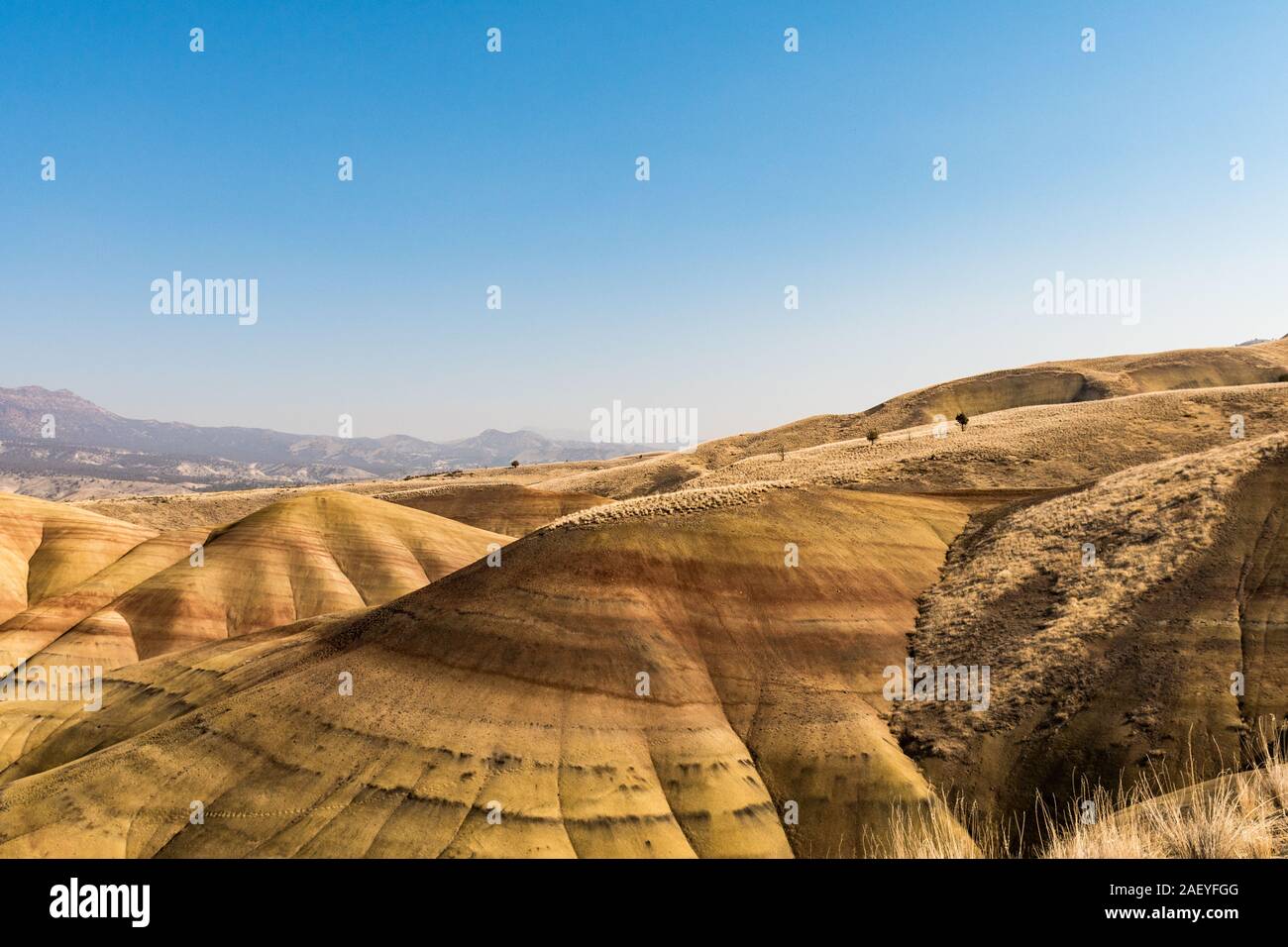 Views of the arid and colorful landscape of Painted Hills Stock Photo ...