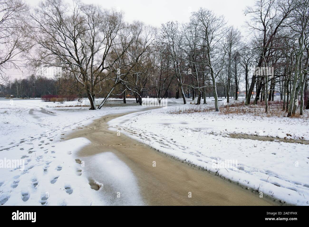 Natural landscape in the Park.On the ground and in the trees is a lot ...