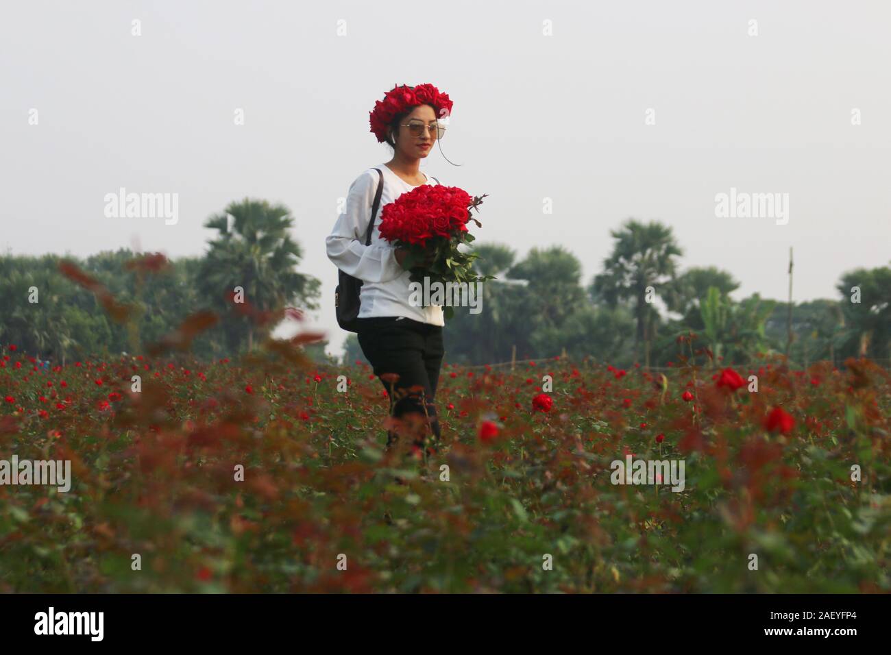 Flowers of bangladesh hi-res stock photography and images - Alamy