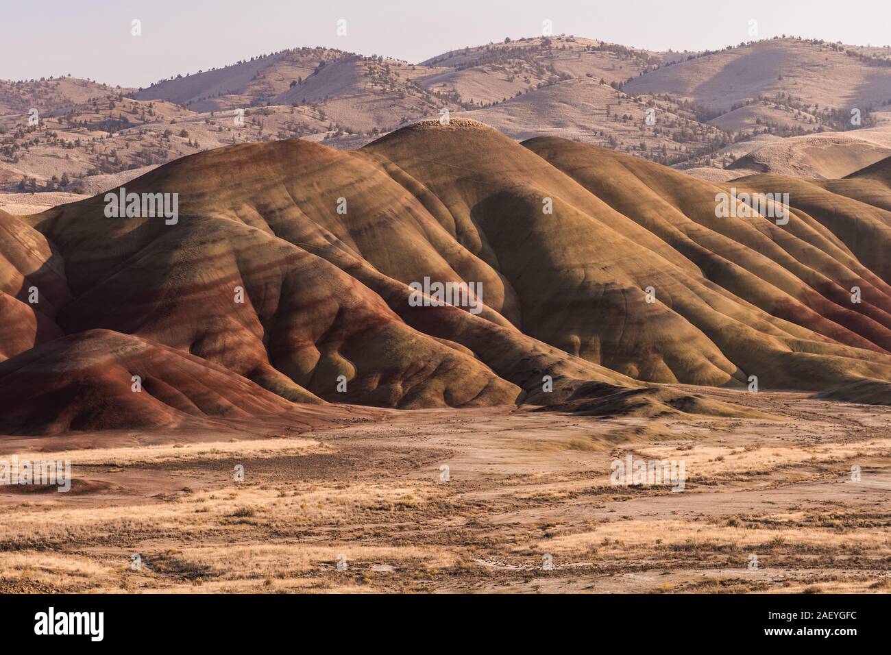 Detail of one of the wavy and colorful hills in Painted Hills at sunset ...