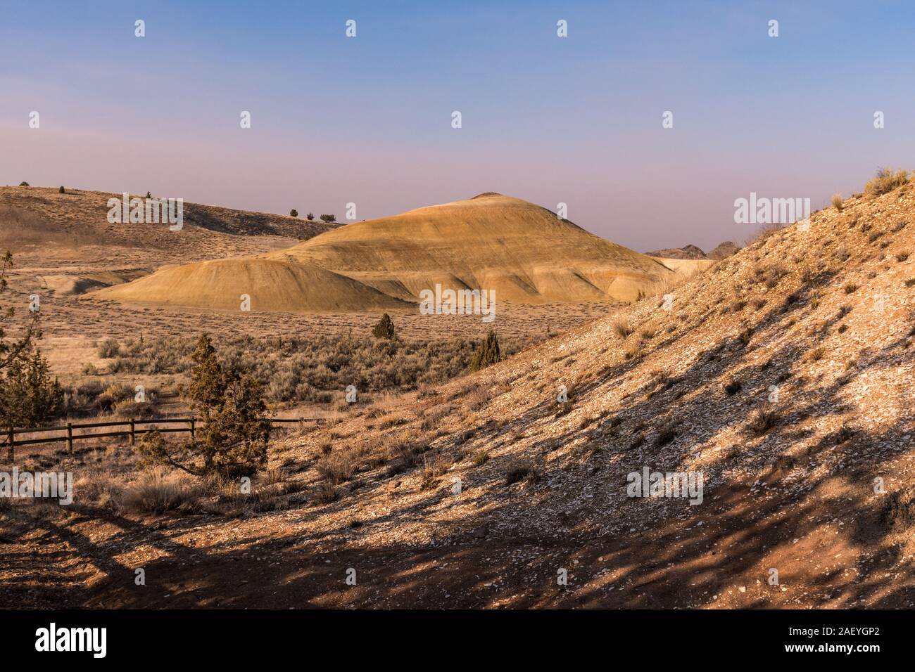 Leaf hill hi-res stock photography and images - Alamy