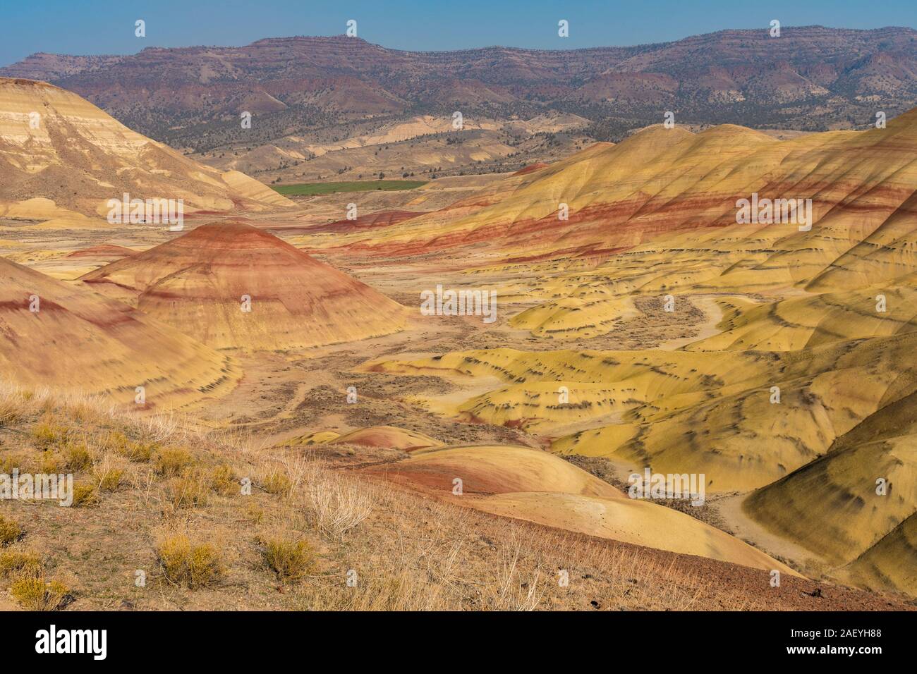 Views of the arid and colorful landscape of Painted Hills Stock Photo ...