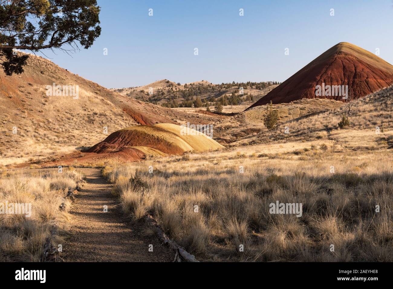 Landscape around Red Hill Trail in Painted Hills Stock Photo - Alamy
