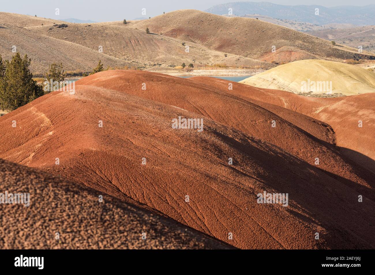 Red cracked earth mounds on the Paint Cove Trail in Painted Hills Stock ...