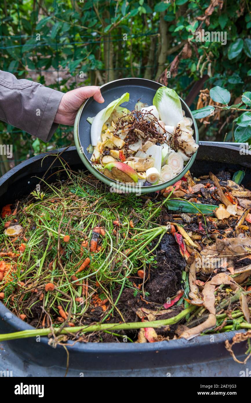 Woman throwing compost with kitchen waste Stock Photo - Alamy