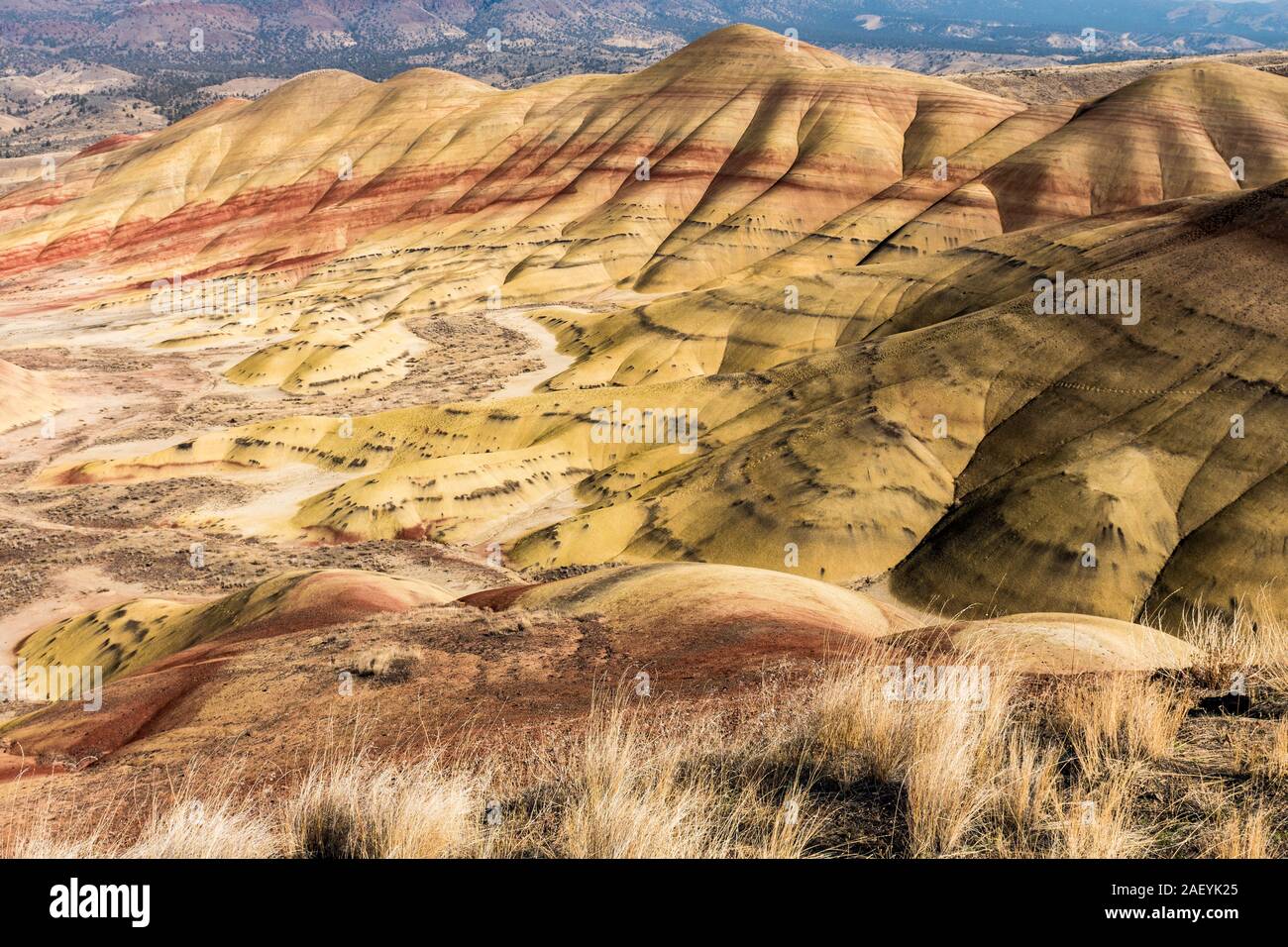Views of the arid and colorful landscape of Painted Hills Stock Photo ...