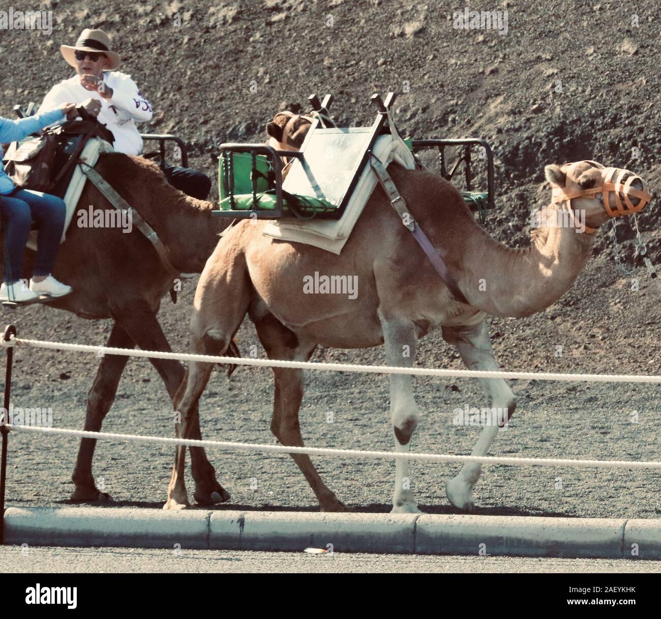 Lanzarote, scenery shots of Lanzarote credit Ian Fairbrother/Alamy ...