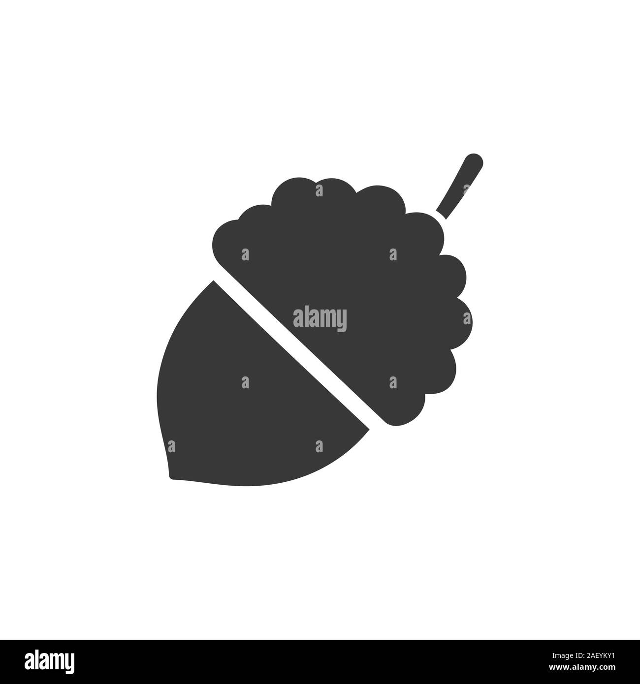 Acorn growth vector vectors hi-res stock photography and images - Alamy