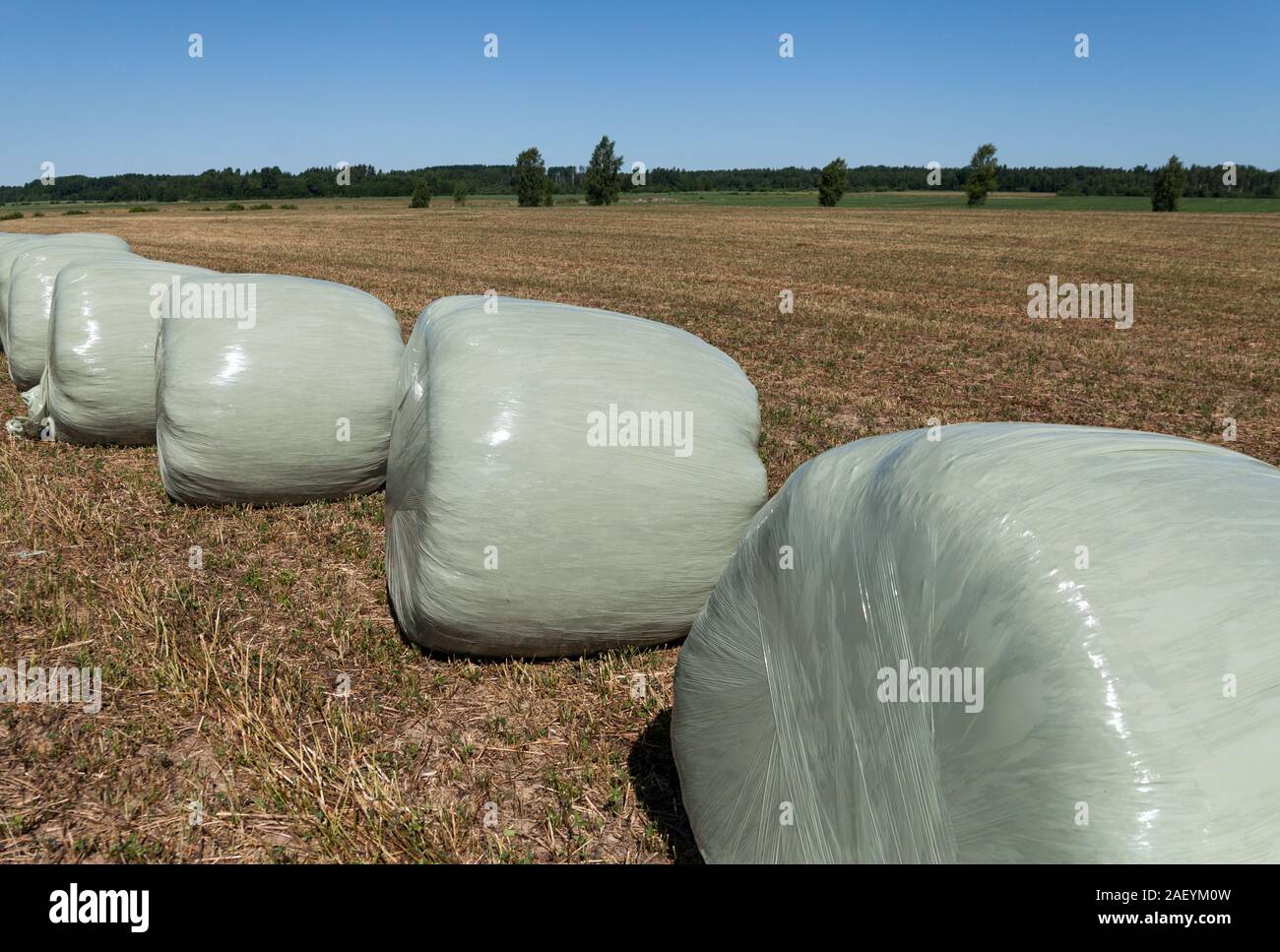 Hay bales covered plastic in hi-res stock photography and images - Alamy