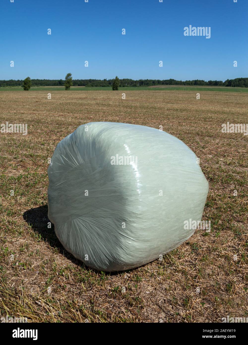 Hay bale, haystack in film packaging Stock Photo - Alamy