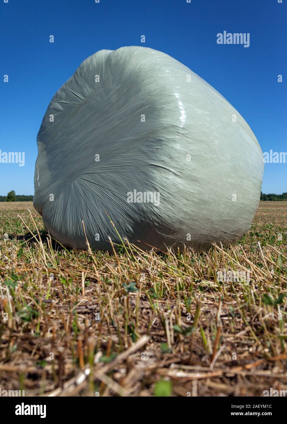 Hay bale, haystack in film packaging Stock Photo - Alamy