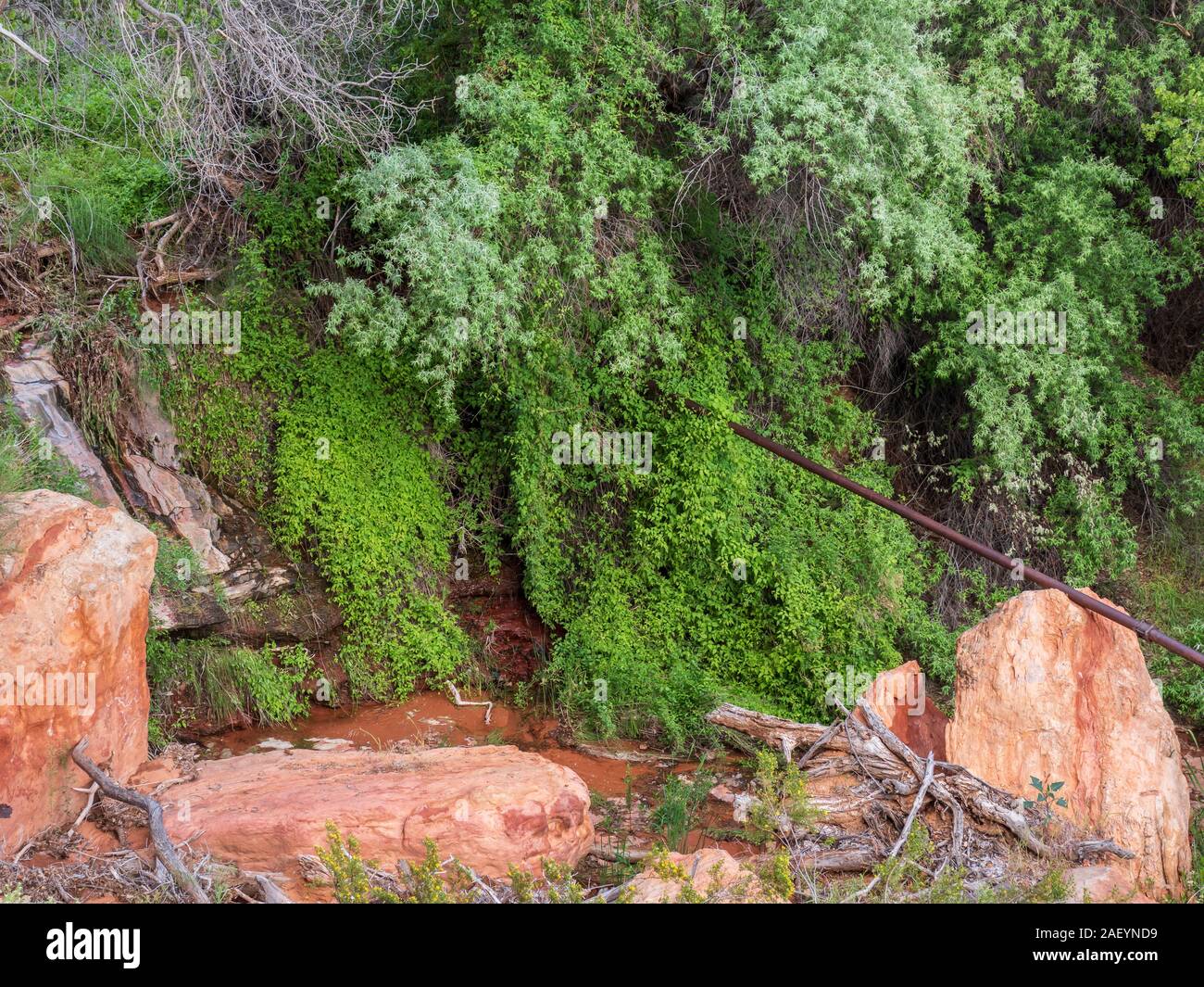 George s rust hi-res stock photography and images - Alamy