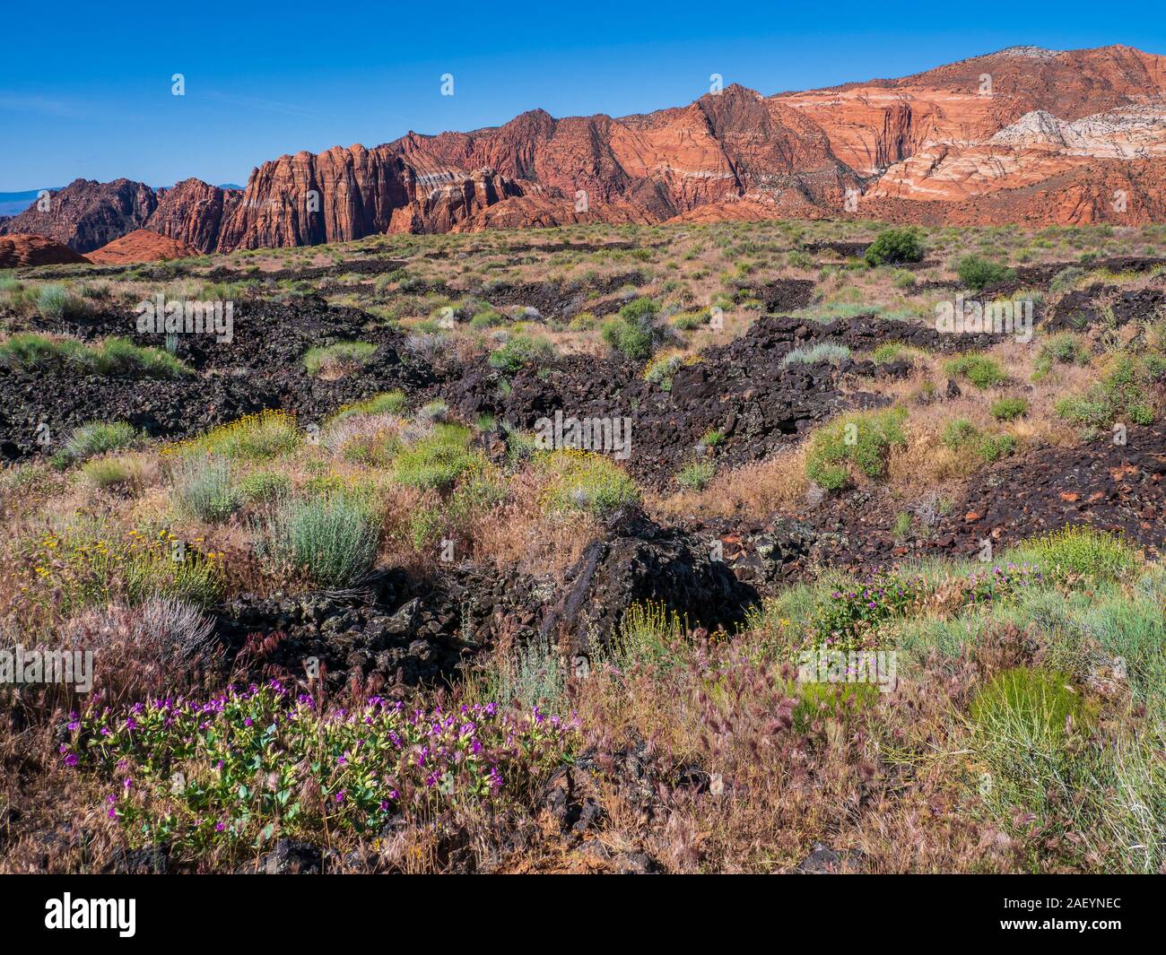 Basalt flow, Lava Flow Trail, Snow Canyon State Park, Saint George ...