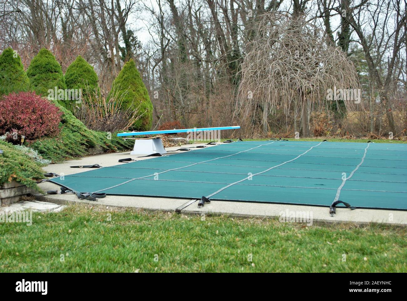 backyard swimming pool with diving board and pool slide tarped up and ...