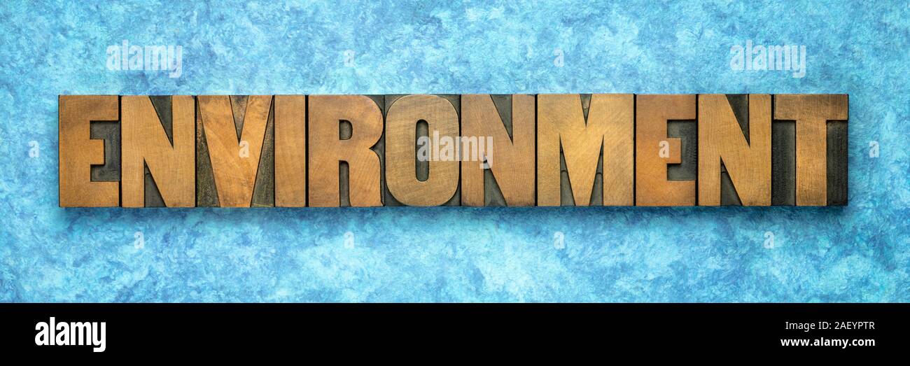 environment word abstract in vintage letterpress wood type blocks ...