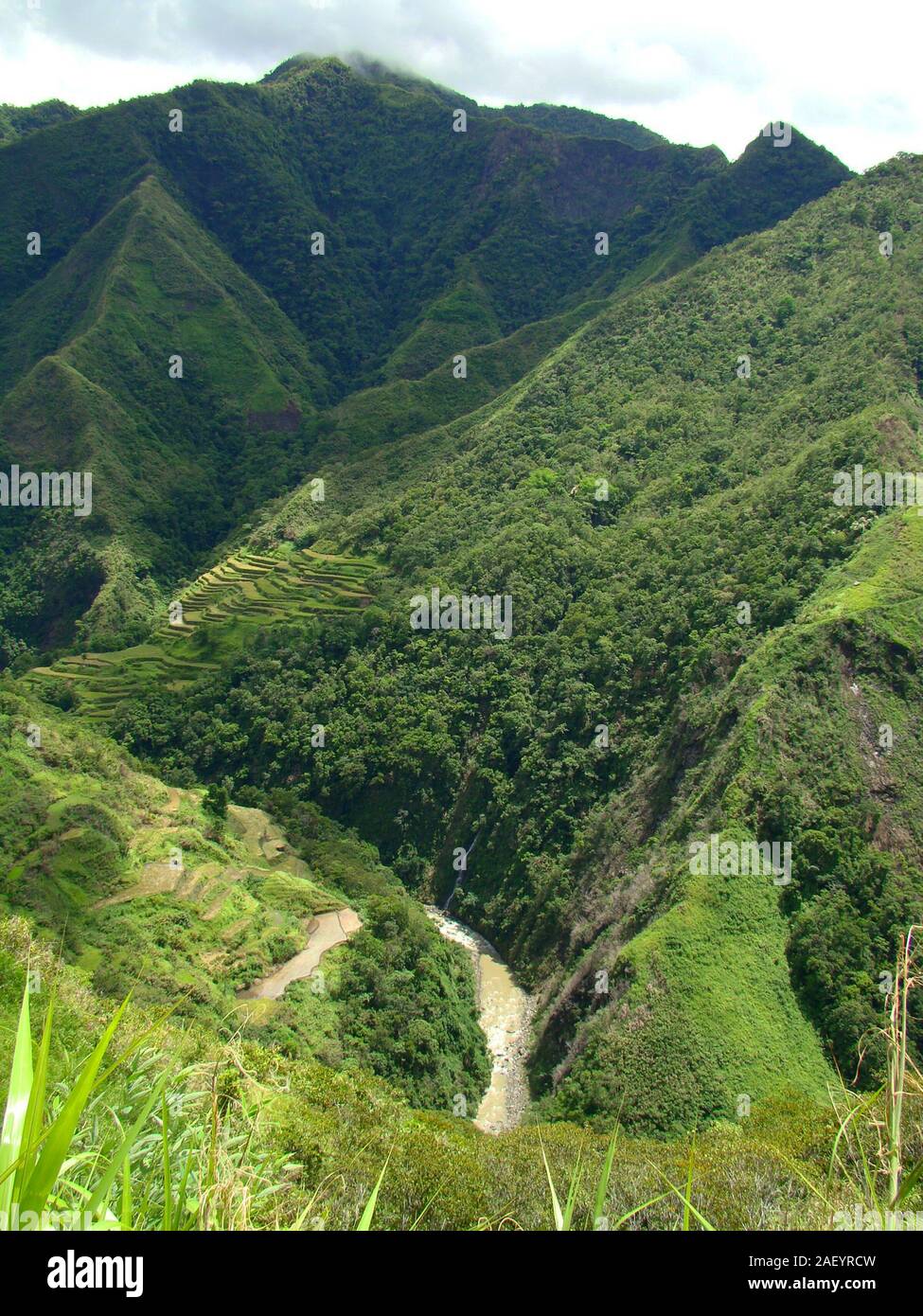 Deforestation rainforest slopes hi-res stock photography and images - Alamy