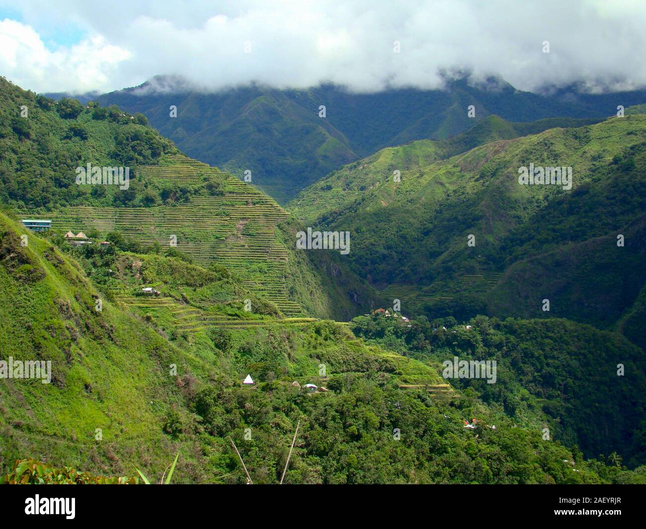 Mountains near Banaue: a patchwork of primary rainforest, secondary ...