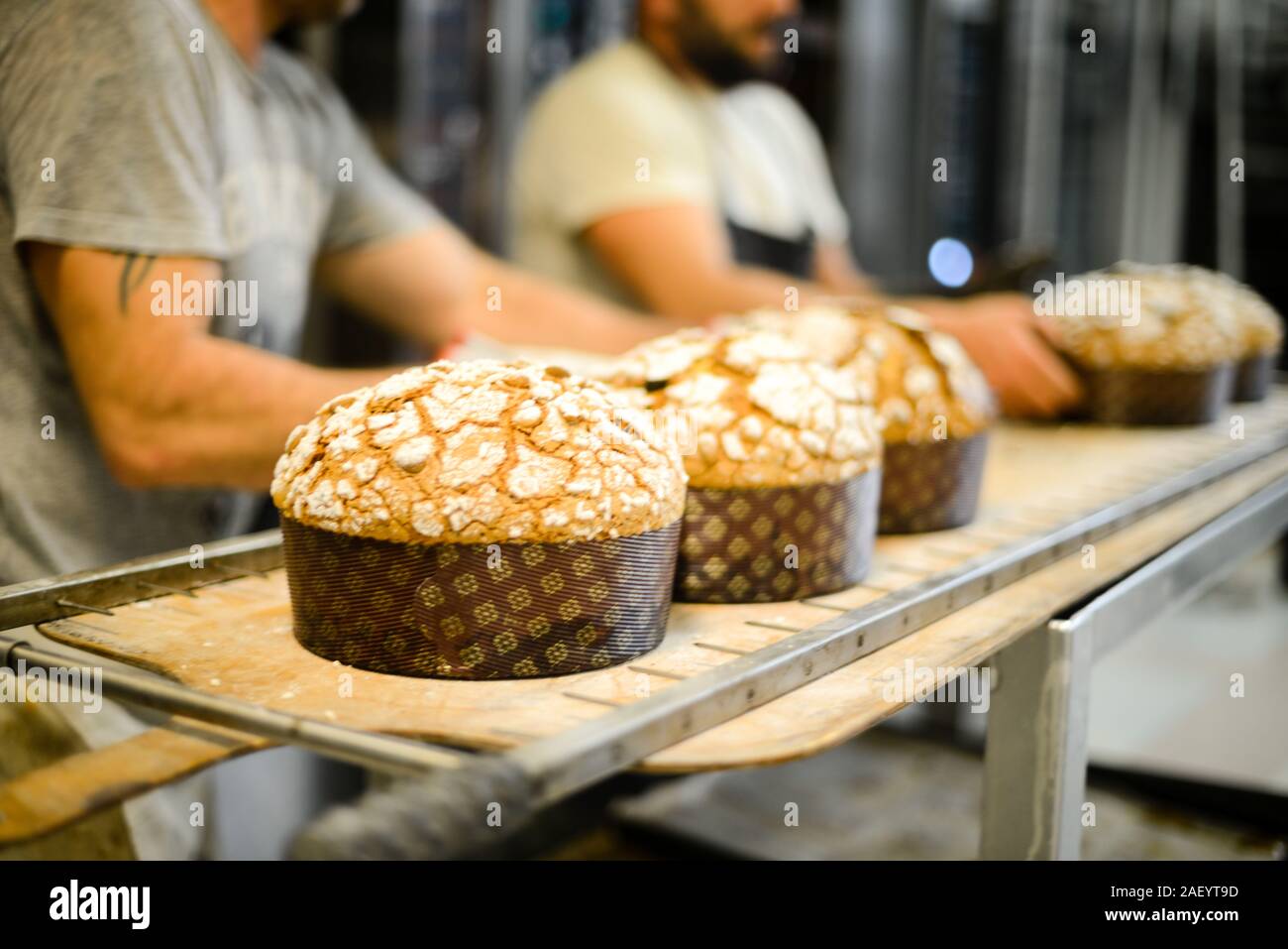 Two chef pastry adult strong baker preparing italian Season's sweet ...