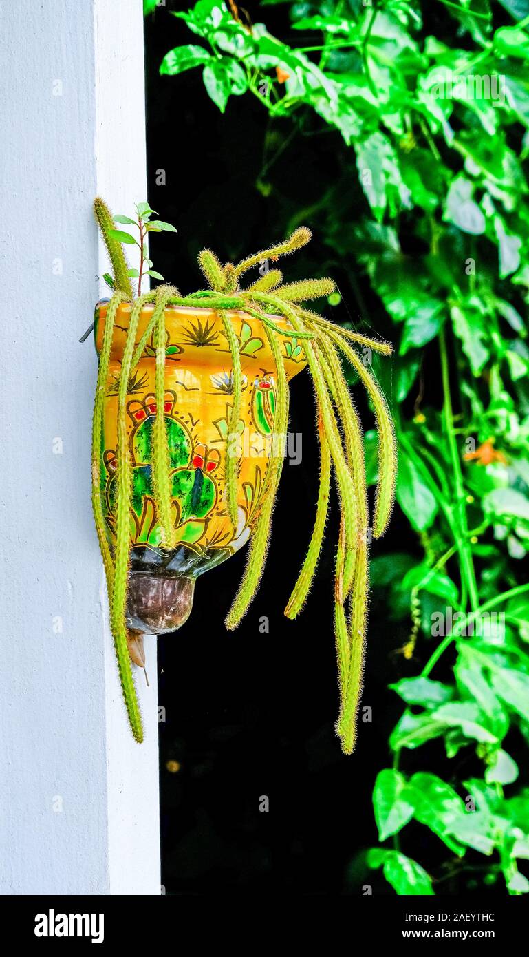 Mexican pot hi-res stock photography and images - Alamy