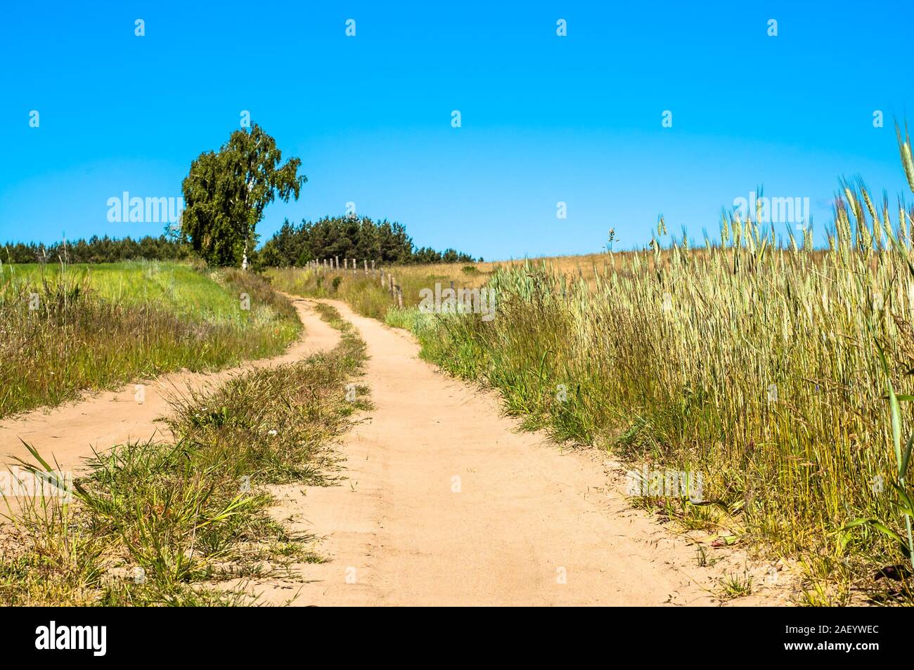 Countryside landscape, farm field, rural scenery with country road ...