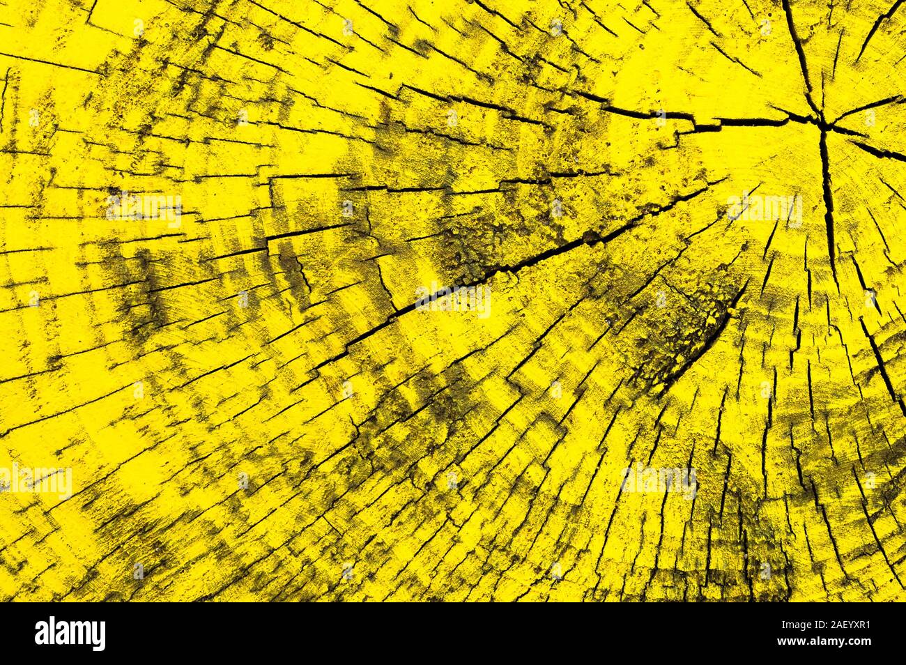 Background or wooden texture from yellow wood Stock Photo - Alamy