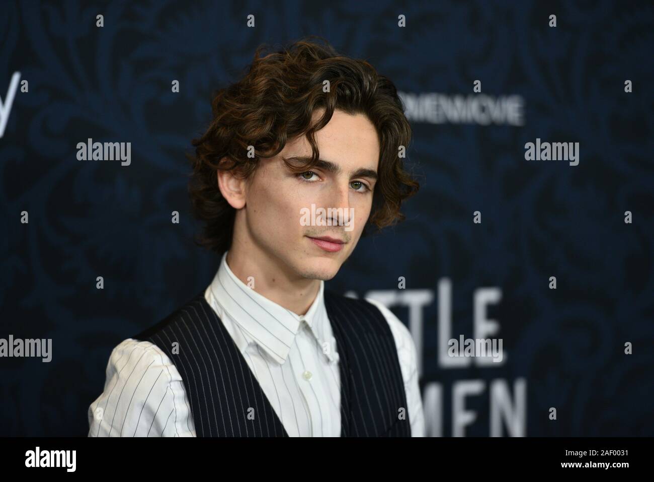 Timothee Chalamet High Resolution Stock Photography and Images - Alamy