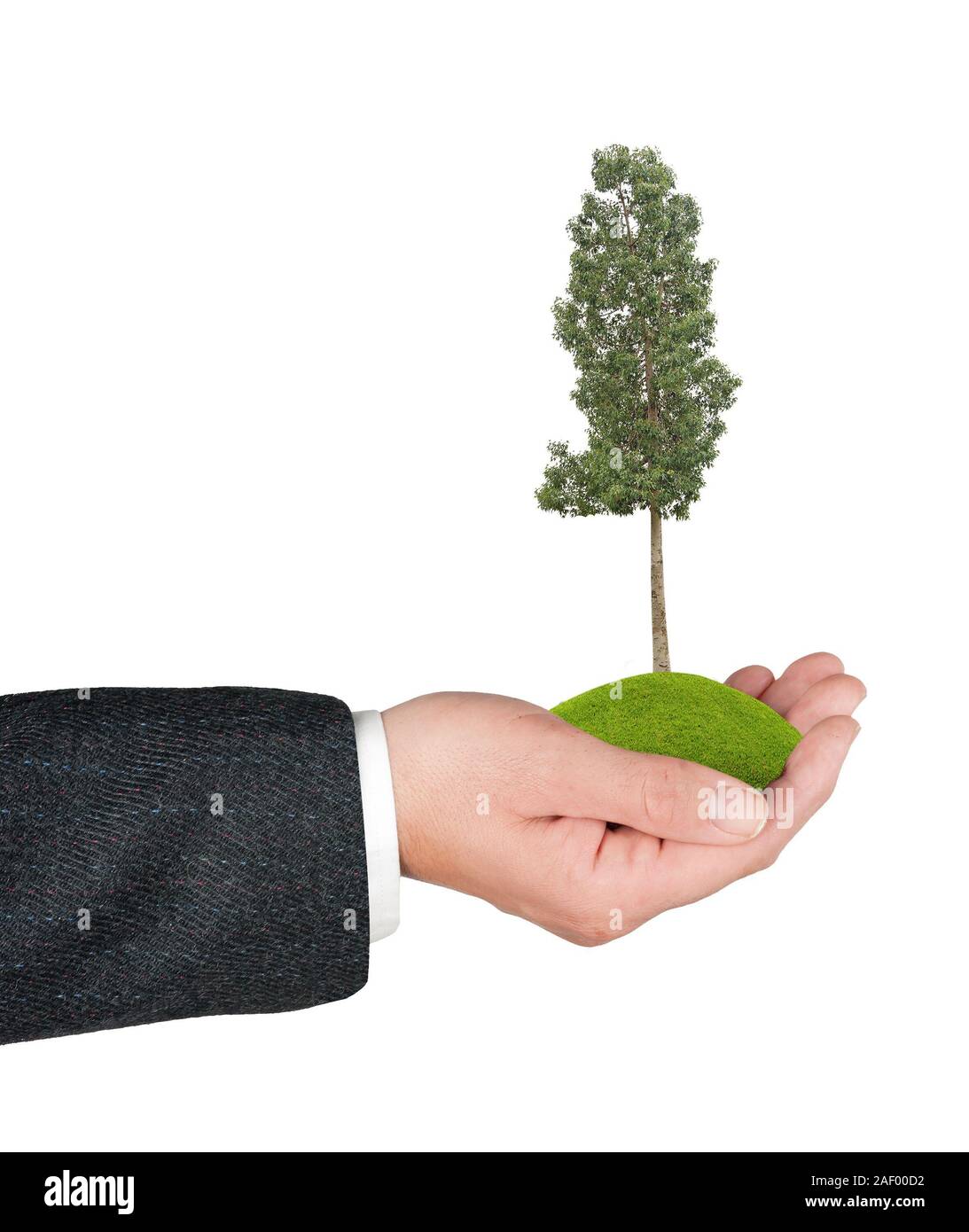 Tree in hands Stock Photo - Alamy