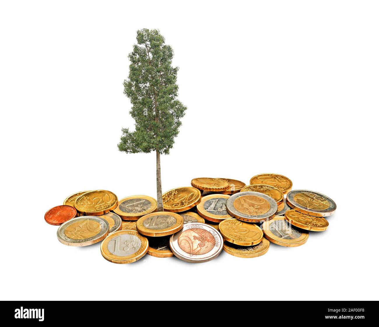 tree growing from coins Stock Photo - Alamy