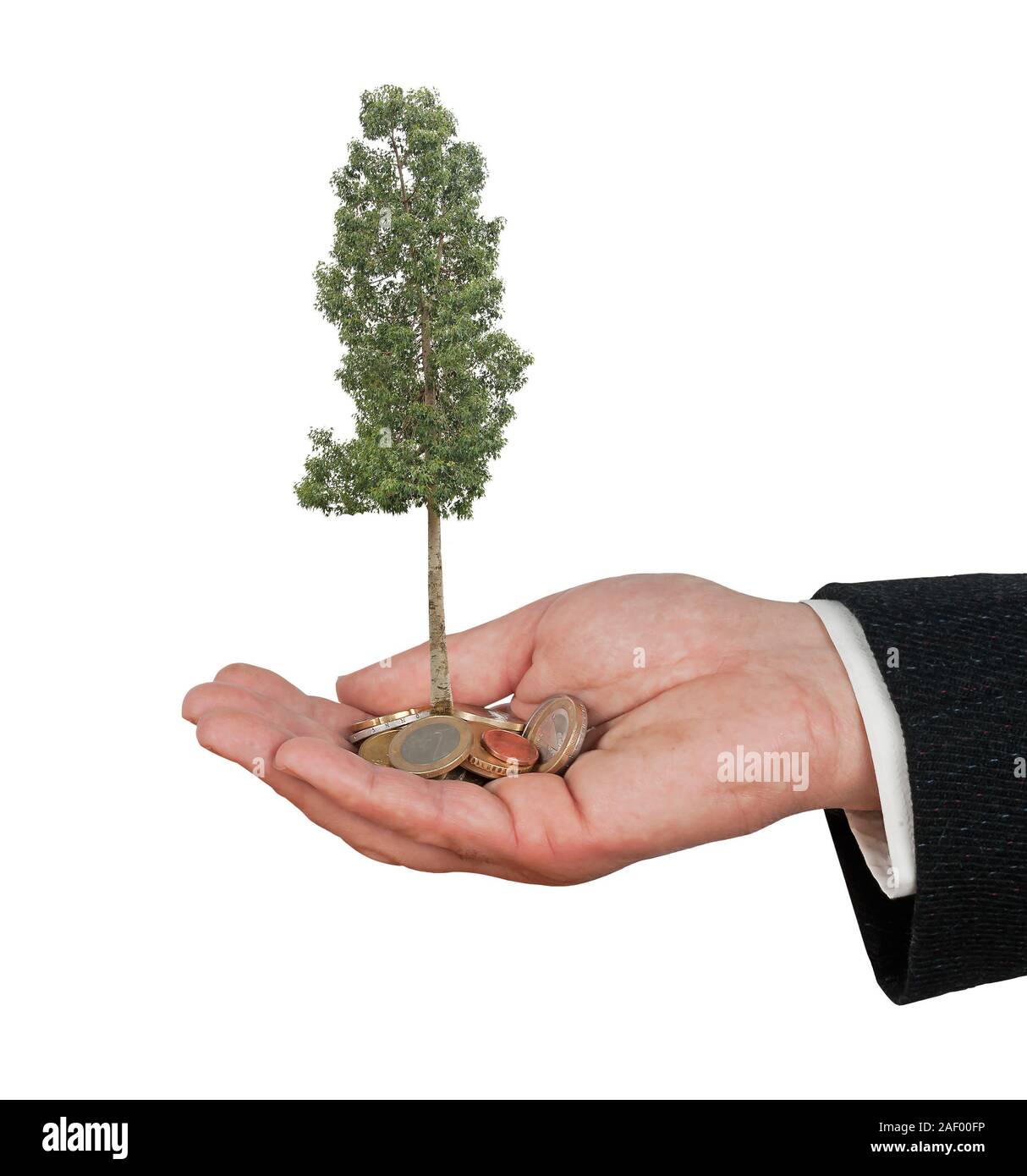 Carbon offset planting tree hi-res stock photography and images - Alamy