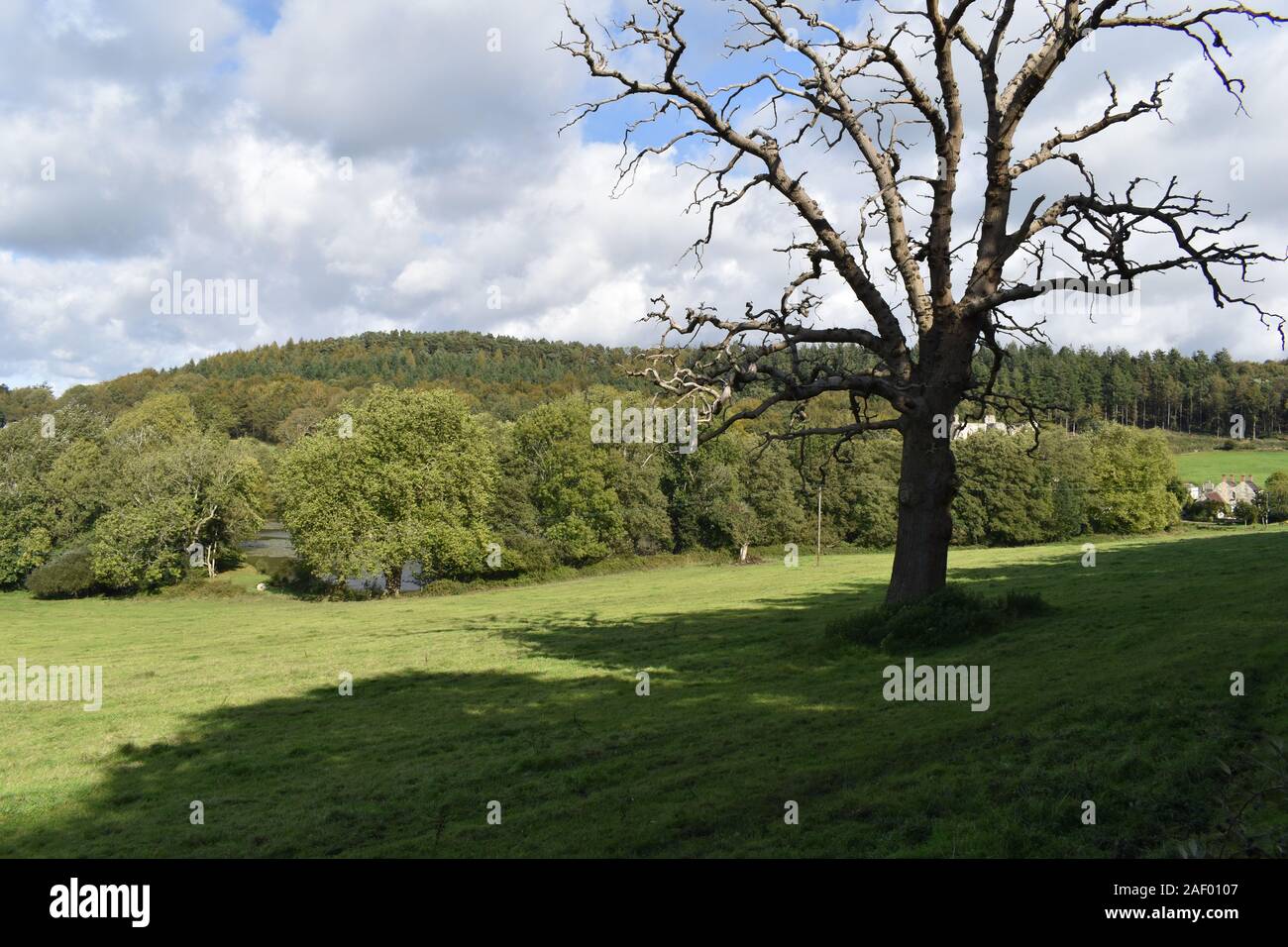 Dead Farmland High Resolution Stock Photography and Images - Alamy