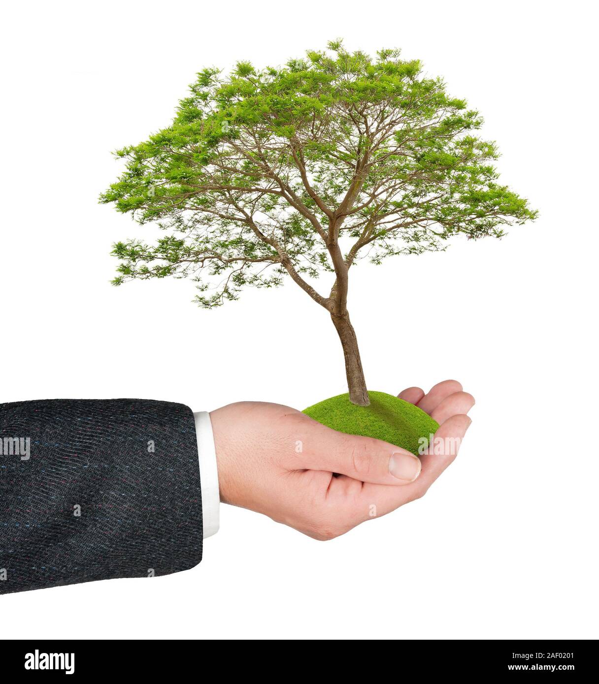 Hand tree planting Cut Out Stock Images & Pictures - Alamy