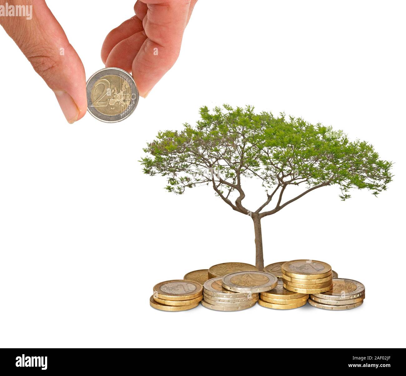 tree growing from coins Stock Photo - Alamy