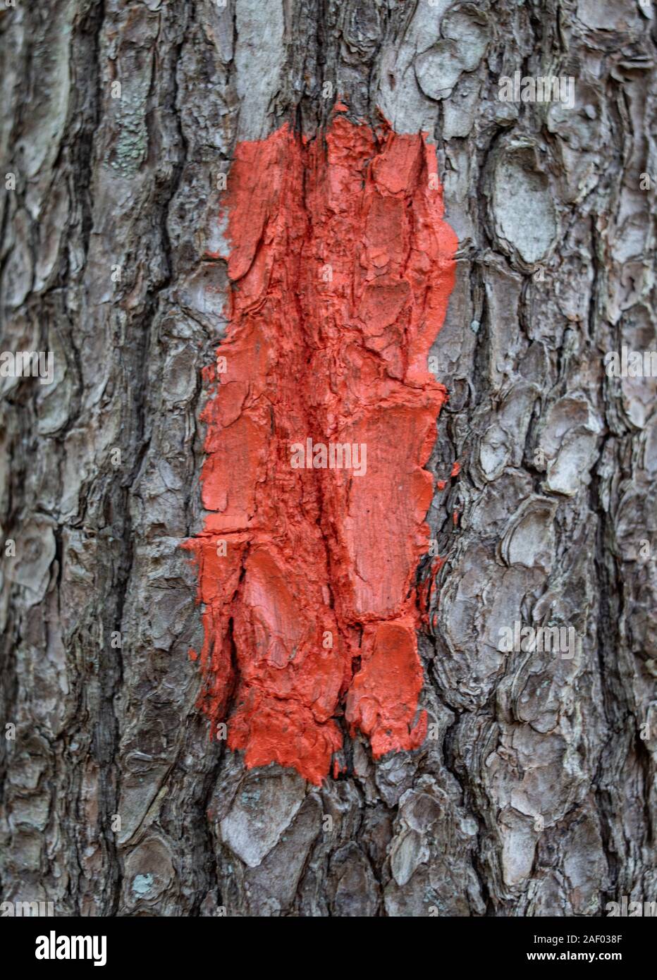 Blaze of red hi-res stock photography and images - Alamy