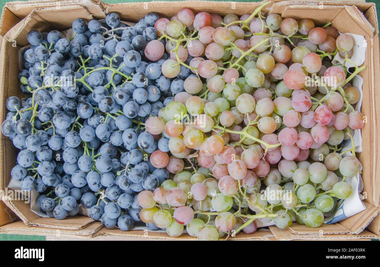 Box white grape hi-res stock photography and images - Alamy