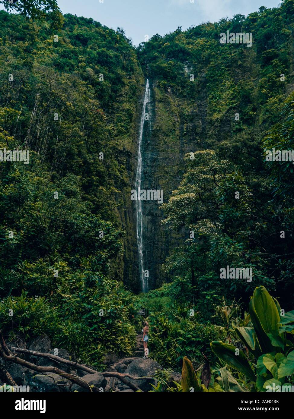 Wet wild hawaii hi-res stock photography and images - Alamy
