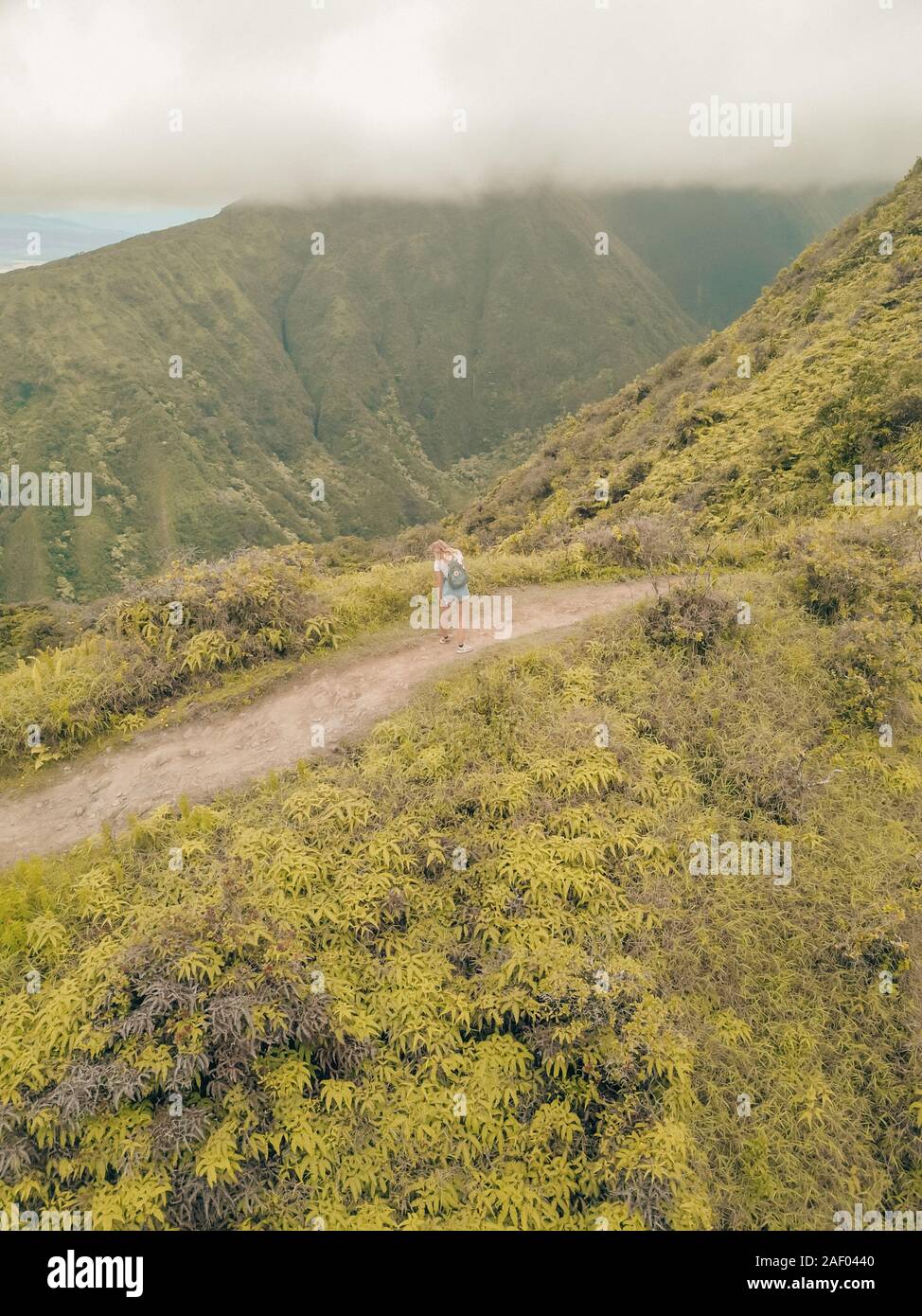 Nature of Maui, Hawaii Stock Photo - Alamy