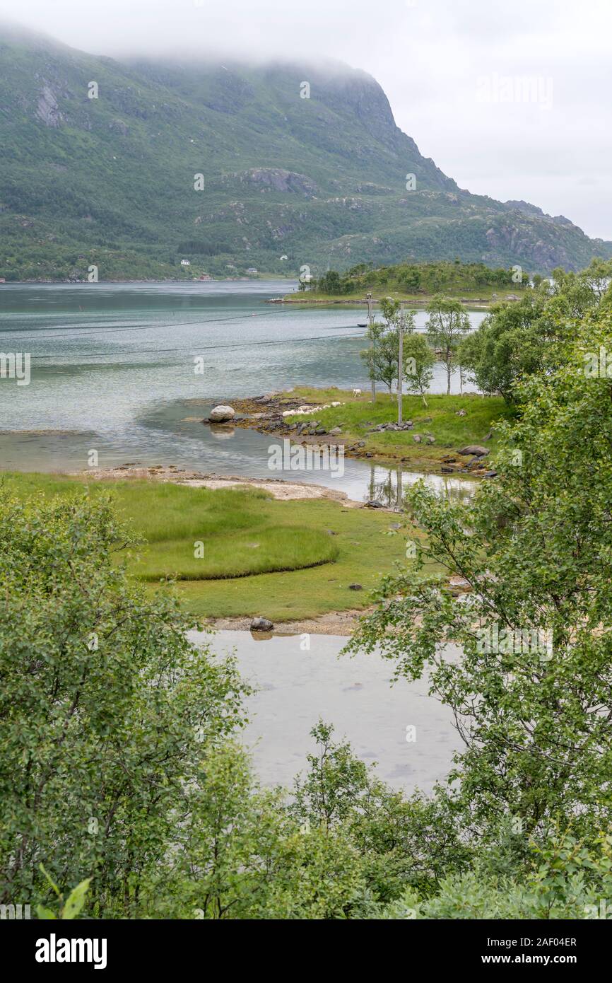 fjord landscape with green inlet shores , shot in bright cloudy light ...