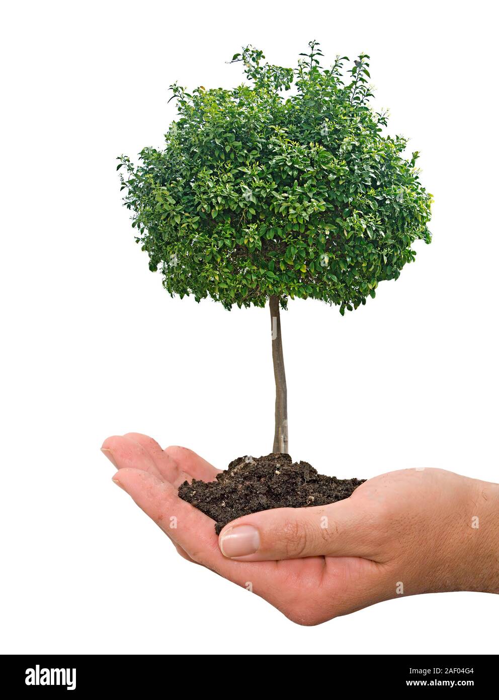 Crop hand man in Cut Out Stock Images & Pictures - Alamy