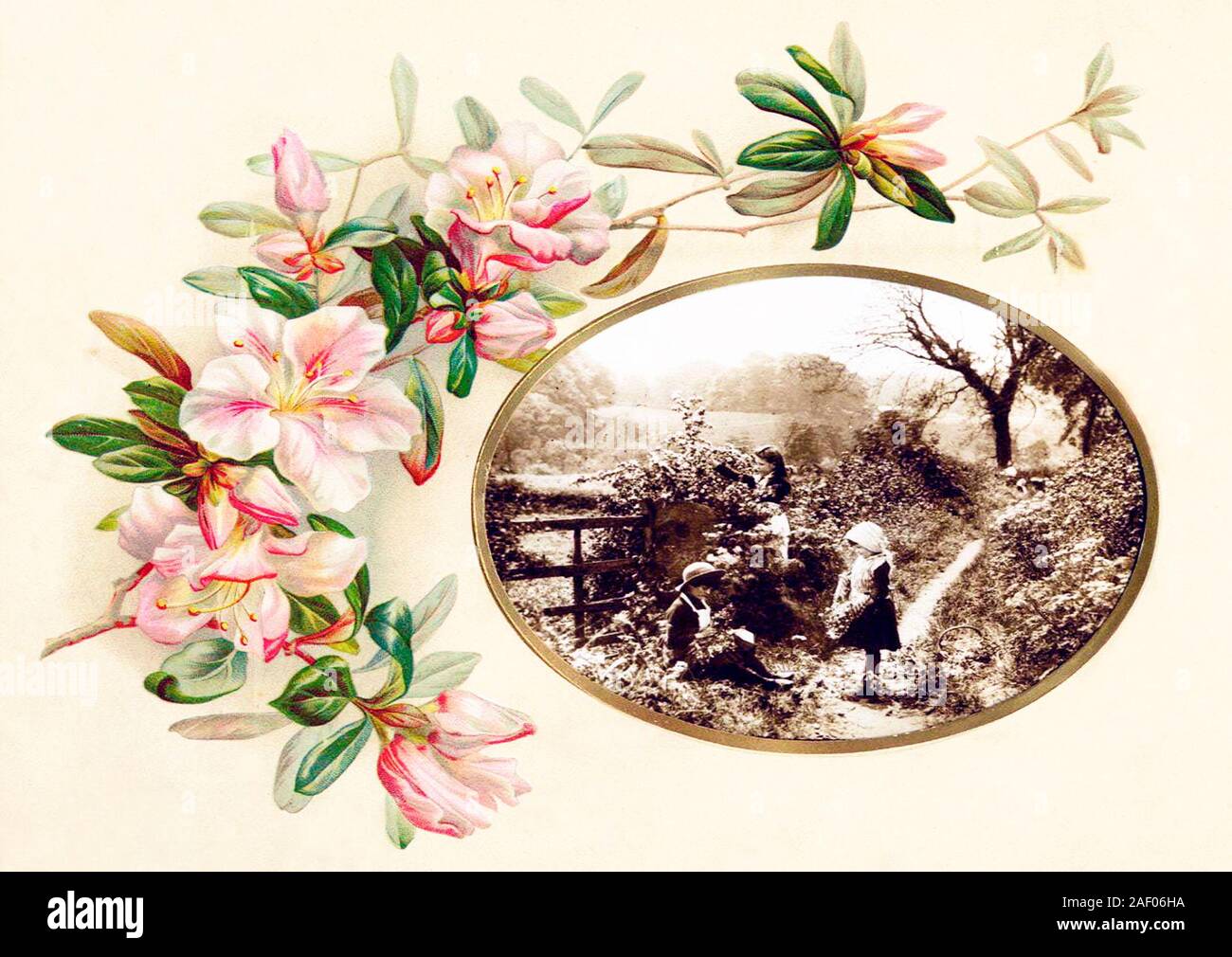 Victorian floral greetings card design, A6 size, No. 17 Stock Photo - Alamy