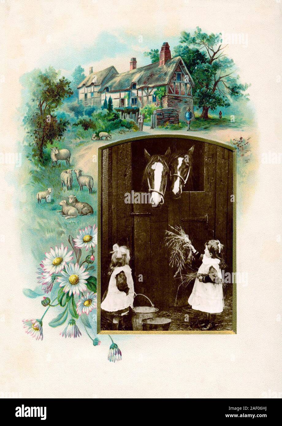 Victorian floral greetings card design, A6 size, No. 10 Stock Photo - Alamy